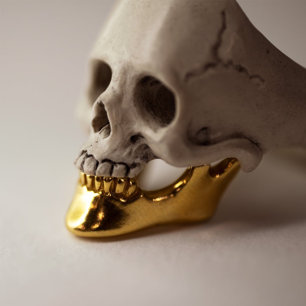 Marble Skull Ring with Silver Jaw | Macabre Gadgets