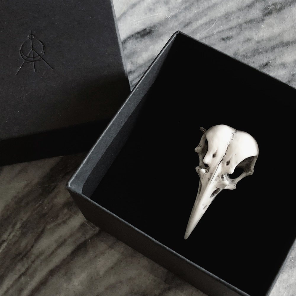 Raven Skull necklace - gothic style jewelry - Macabre Gadgets