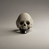 Jaw Skull ring - Macabre Gadgets